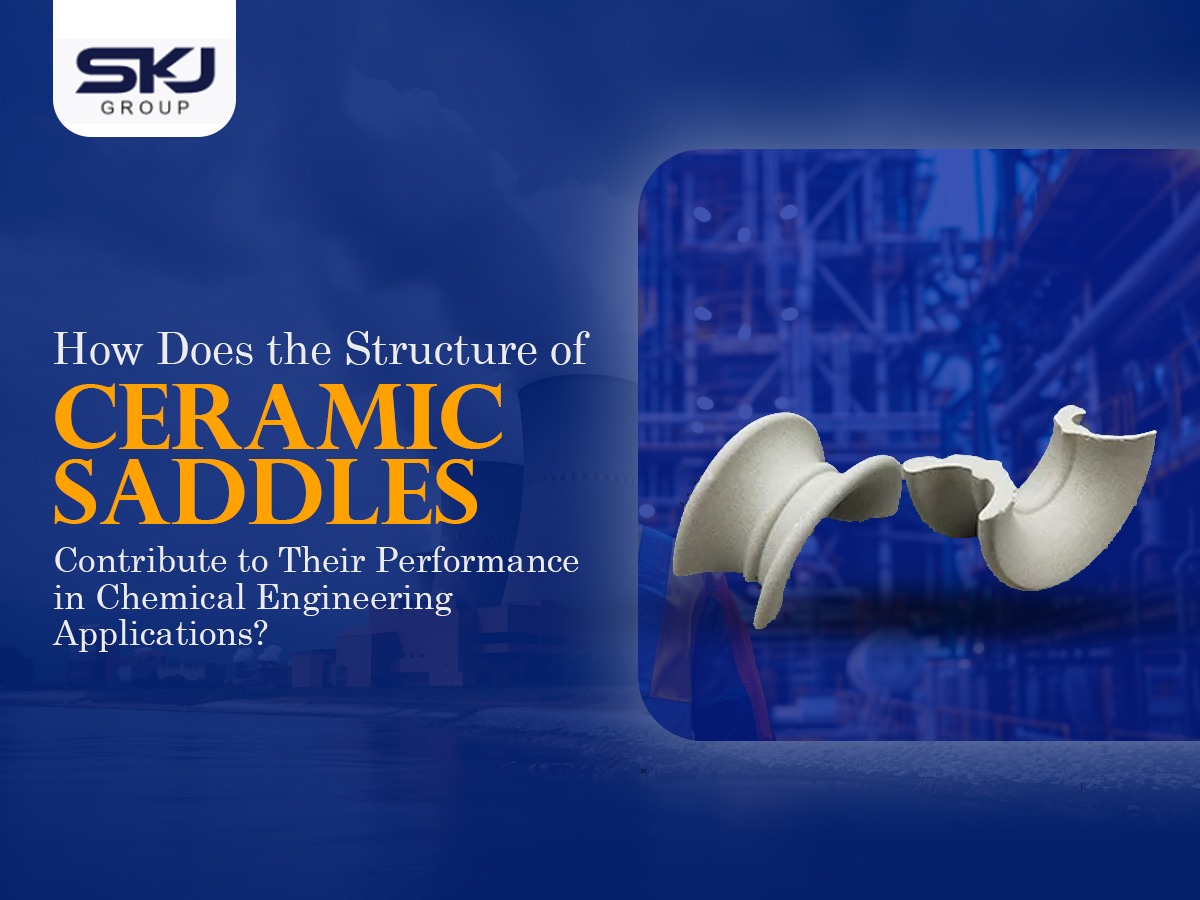 Leading Ceramic Saddle & Tower Packing Experts