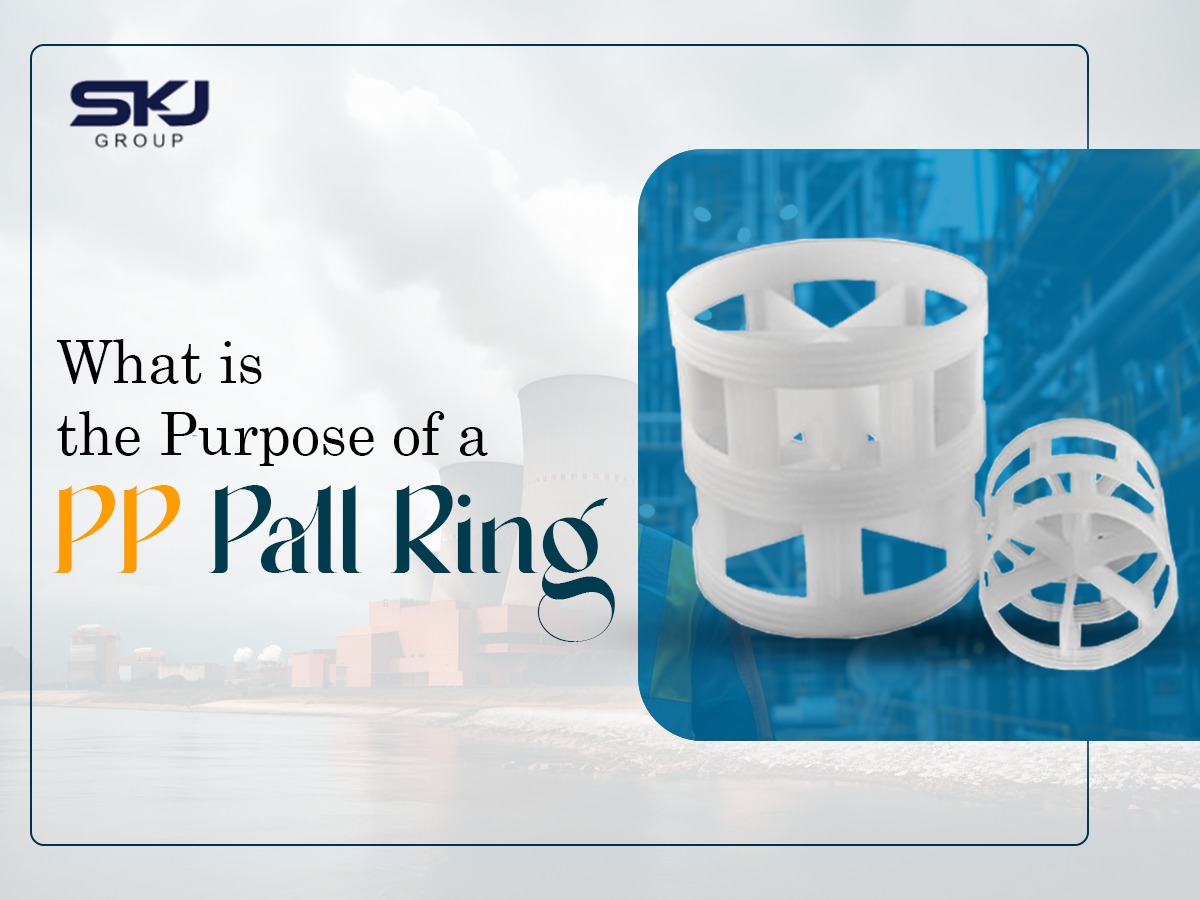 What is the Purpose of a PP Pall Ring? | SKJ Group